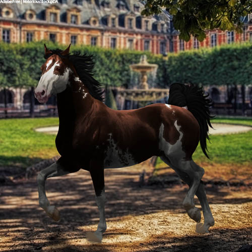 Horse Eden : 174| Daes TBLB(+AA) broods! WWW/EWW