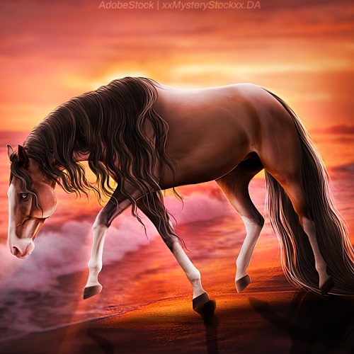 Horse Eden - Online Horse Game