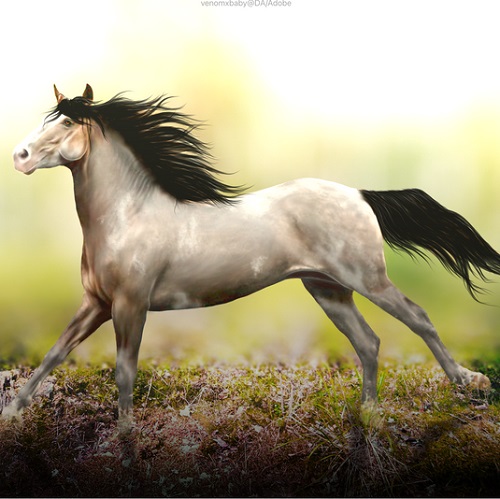 Horse Eden : 180 | TBLB/AALB Broods and/or Embryos | Inc. 10 AALB + Prl