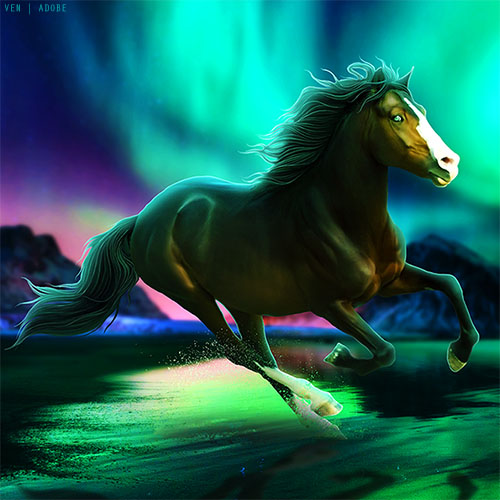 Horse Eden : #1X Atlas & #9ABLB Malik