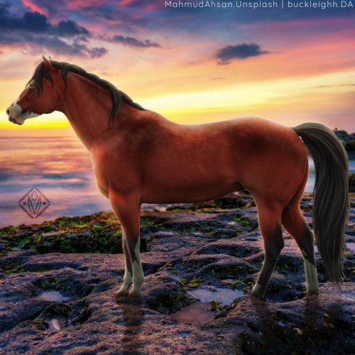 Horse Eden : 180 | TBLB/AALB Broods and/or Embryos | Inc. 10 AALB + Prl