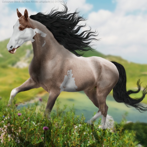Horse Eden : 174| Daes TBLB(+AA) broods! WWW/EWW
