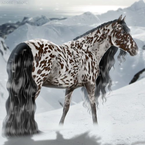 Horse Eden - Online Horse Game