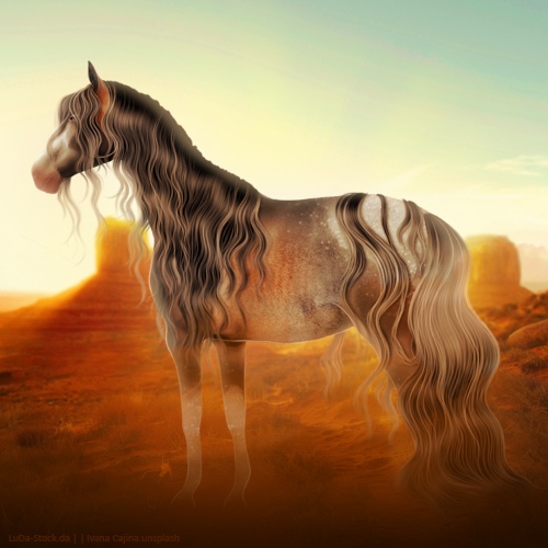 Horse Eden - Online Horse Game